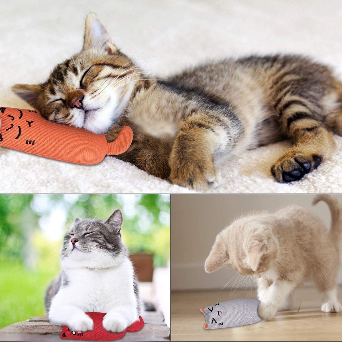 5 Must-Have Accessories for Your Cat’s Playtime | by Bear Wood | Medium