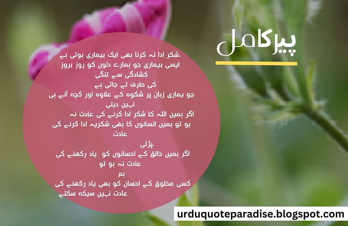 Best Novels Lines in Urdu text - Sabanax - Medium