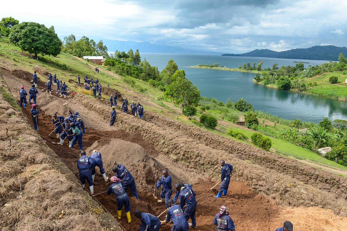 Idjwi, an incubator for local development in South Kivu, DRC | by Pnud ...