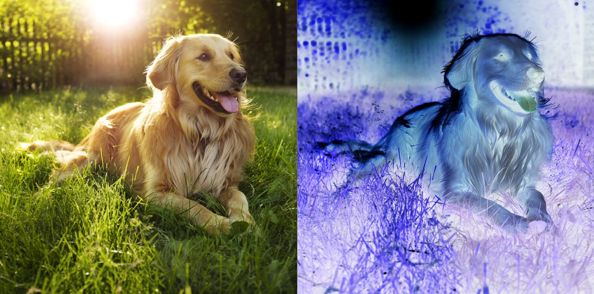 Basic Operations on Images using OpenCV — Python | by Koushik ...