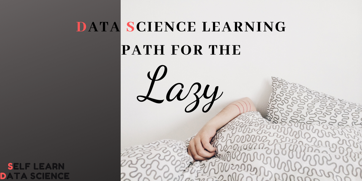 Data Science Learning Path for the Lazy | by Self Learn Data Science ...