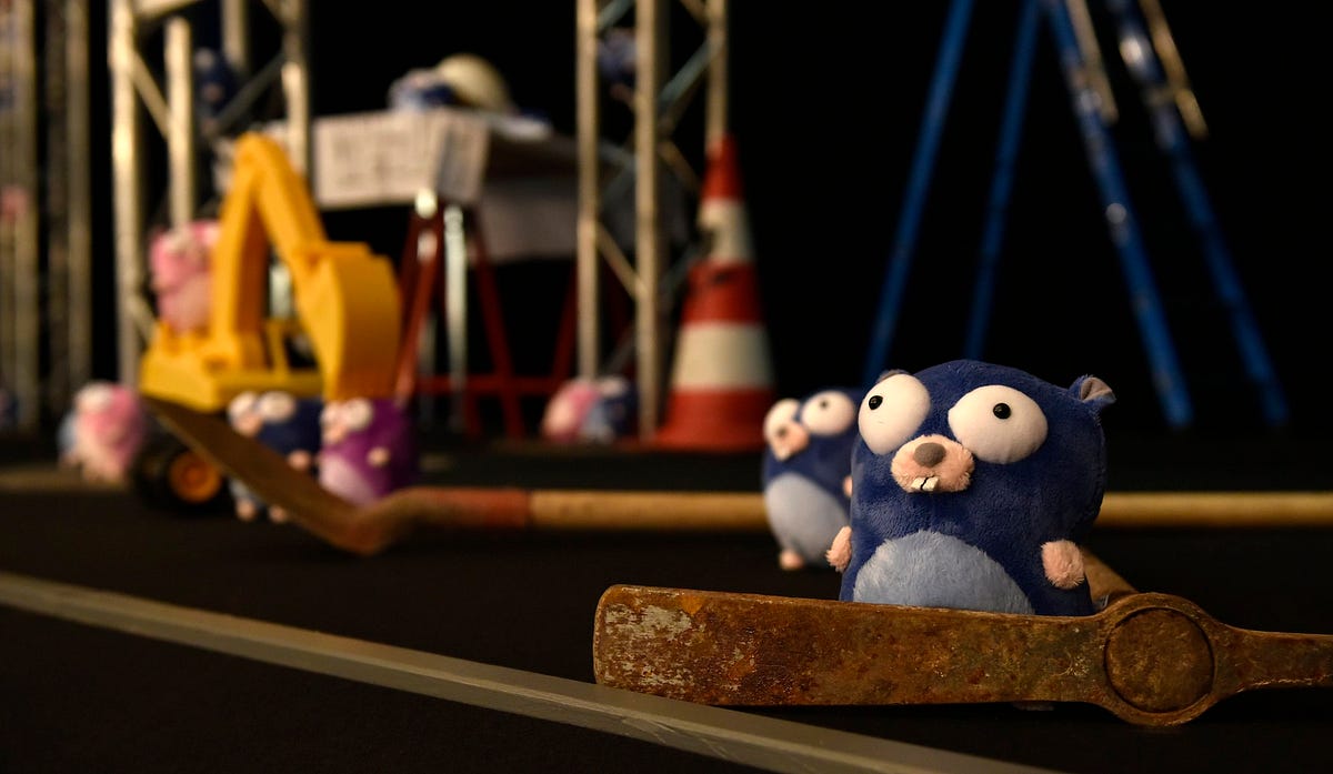 Why You Should Learn Golang In 2022 | by Amrit Pal Singh | Level Up Coding