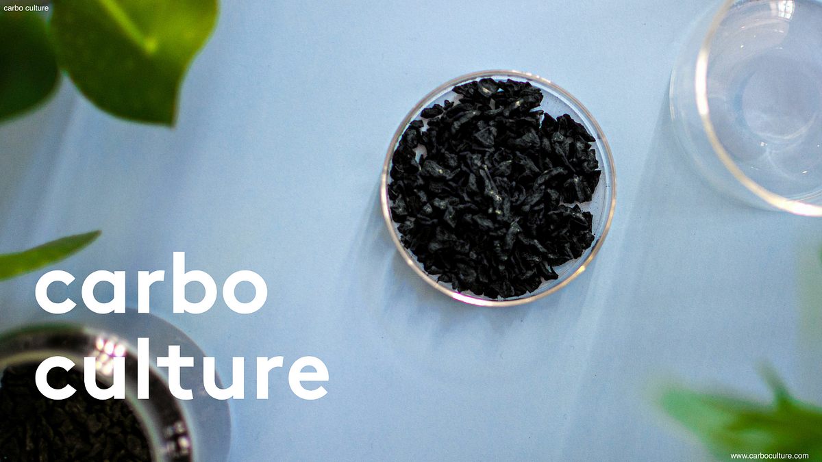 Home Compost & Garden Biochar — This Mother’s Day, store CO2 and make ...