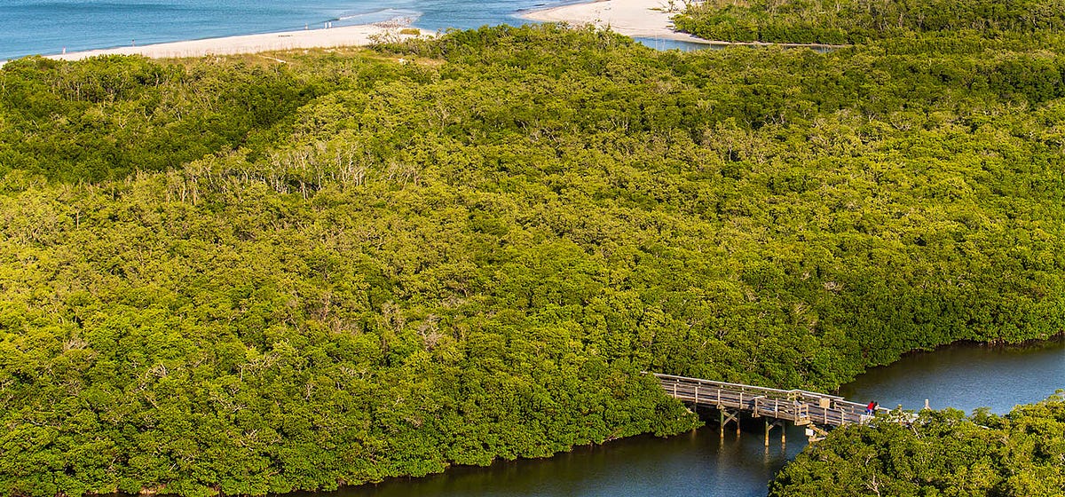 FREE Conservancy Nature Walks Resume | by Conservancy of SWFL ...