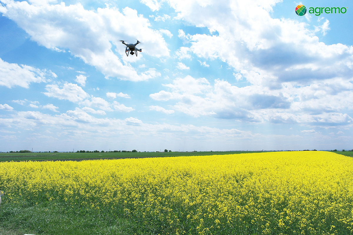 Case Study: Canola and Rapeseed Farming 2.0 — Cutting-Edge Drone ...