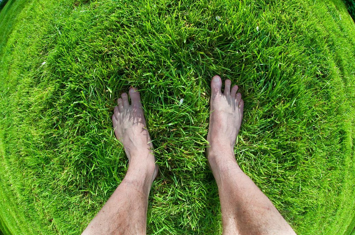 Letting The Grass Grow Under One’s Feet | by Adiuvo Diagnostics Pvt ...