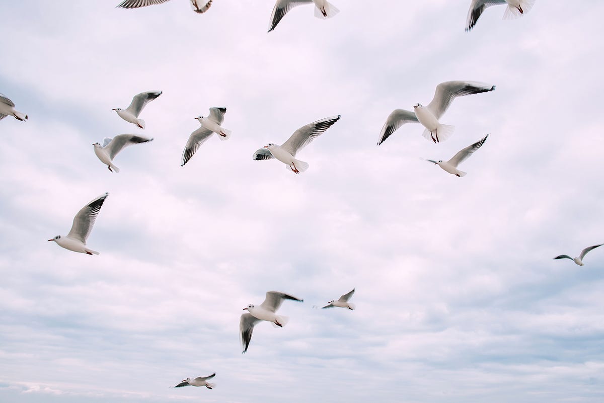 My Dream Life Didn’t Drop From a Deep-Blue Sky | by Mark Cutts | Age of ...