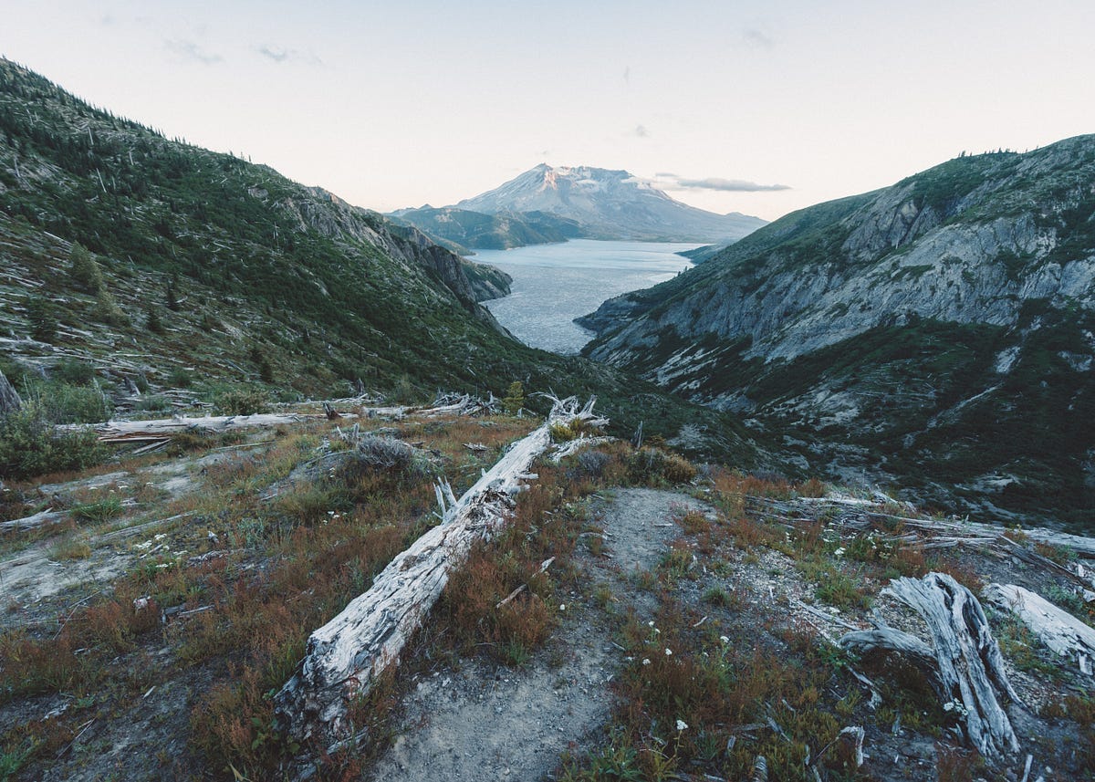 Norway Pass. Hiking Mt St Helens “path of… | by adrian vila | Medium