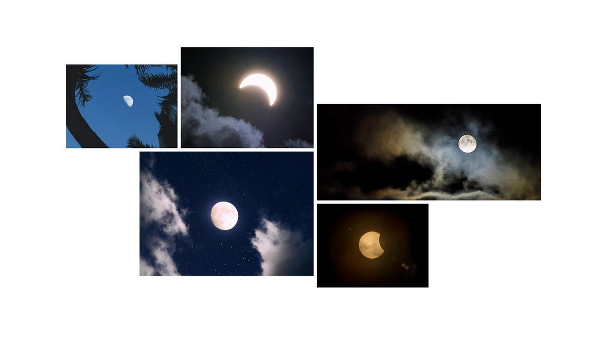 Moonlit Gratitude: A Celestial Ode | by She.Writes | Medium