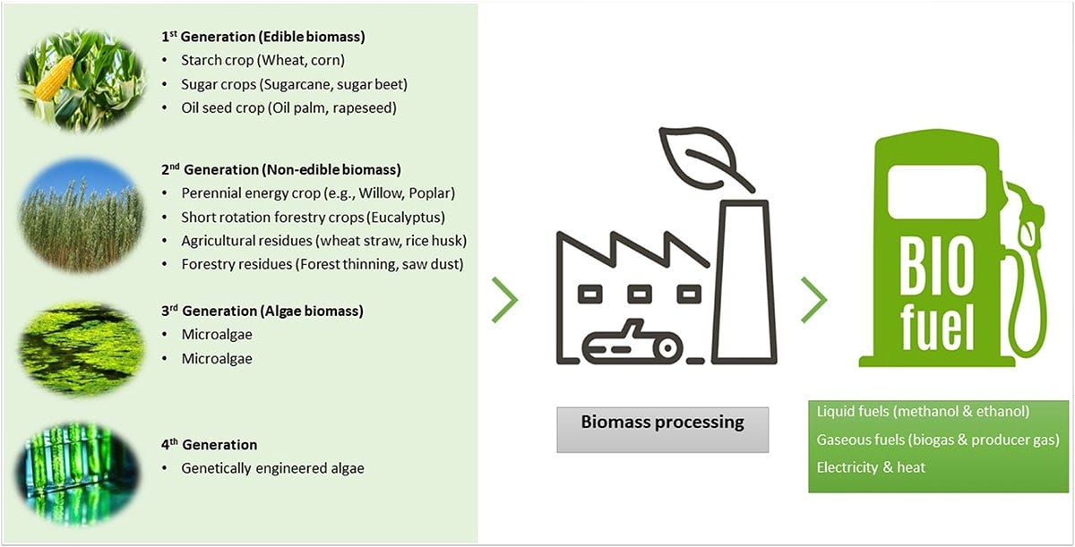 Turning Algae, Animal Waste, and Random Plants into Plastic and Fuel ...