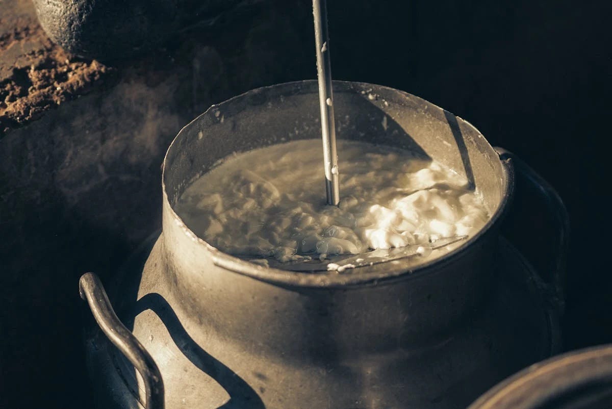 Is There Meaning in Milk. There was a time when a man knew the… | by ...