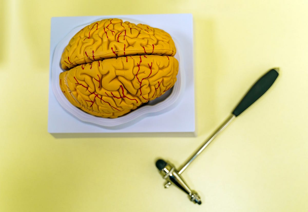 Navigating the Impact: Brain Injuries and Their Influence on IQ | by Kathleen J. Ruby | Feb ...