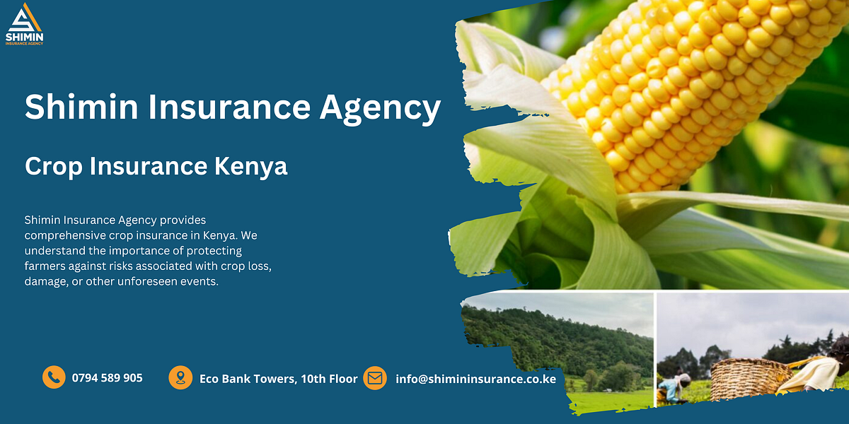 Insurance Solutions for Crop Farming in Kenya - shimin insurance - Medium