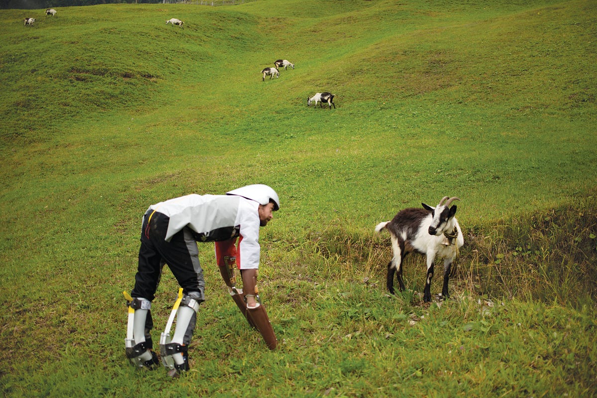 Do Goats Worry?. In GoatMan: How I Took a Holiday from… | by PA Press ...