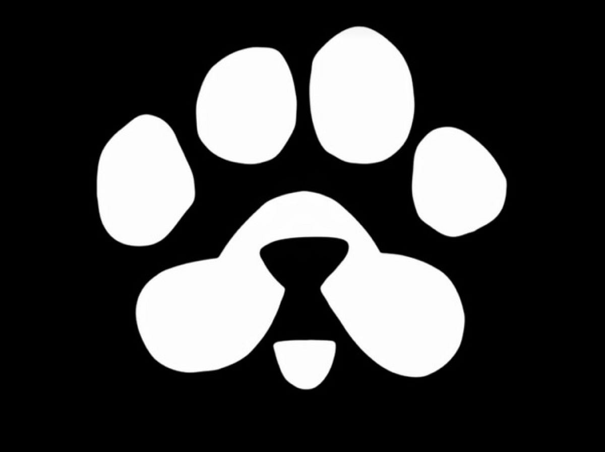 Welcome To PAWS The Airdrop Checker 🐾 | by Paws Airdrop writer 🐾 | Nov ...