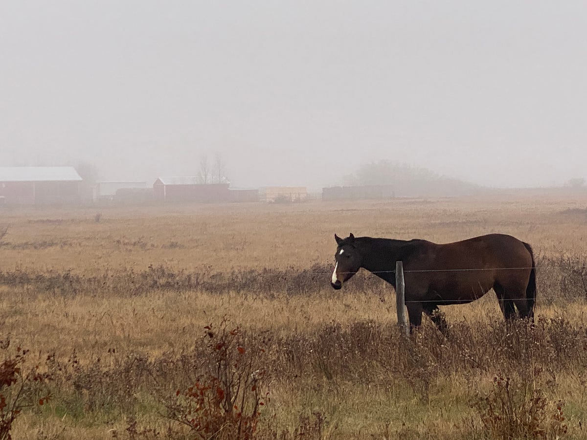 The Many Colors of a Canadian Prairie Fall | by Jillian Amatt ...