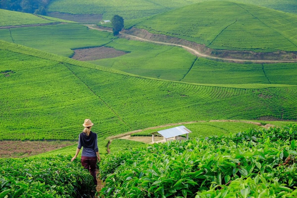 Travel Trends and Hotel Openings You Need to Watch in 2021 | Terracotta ...