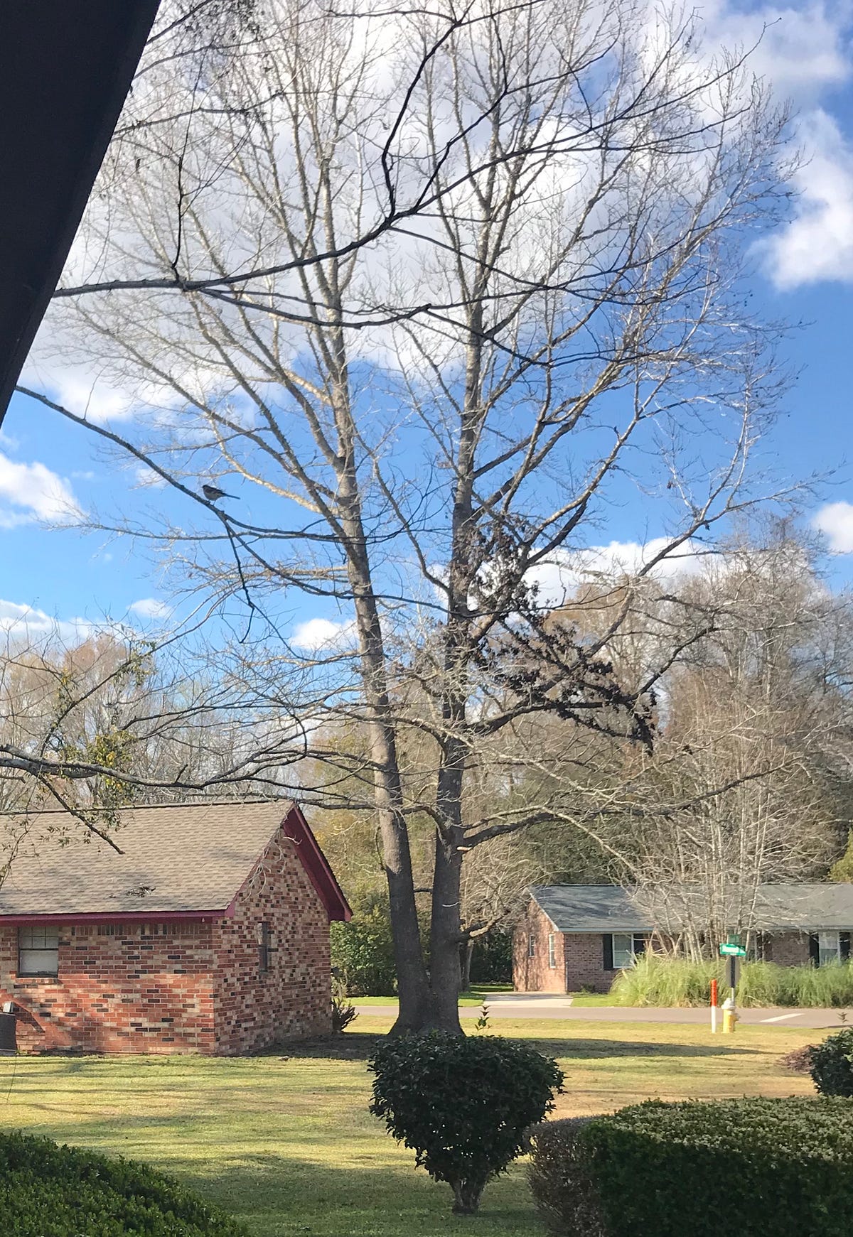 Good Things and Good People do Come From the Hood | by Jade Shines Light | Medium