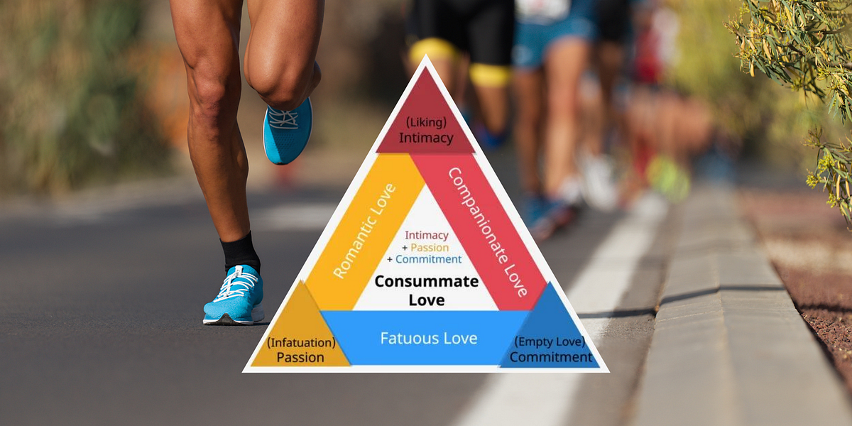 The Endurance Formula in Love:. Navigating the Intimacy, Passion, and ...