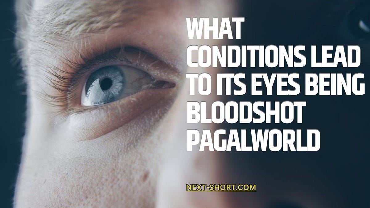 What Conditions Lead to Its Eyes Being Bloodshot Pagalworld | by ...