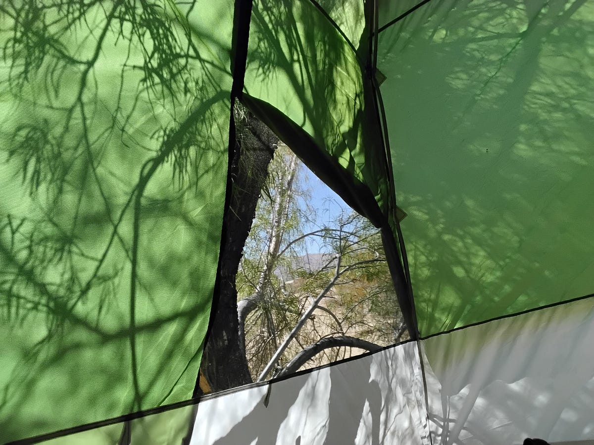 Mental Illness Can Cause Homelessness but Homelessness Can Cause Mental ...