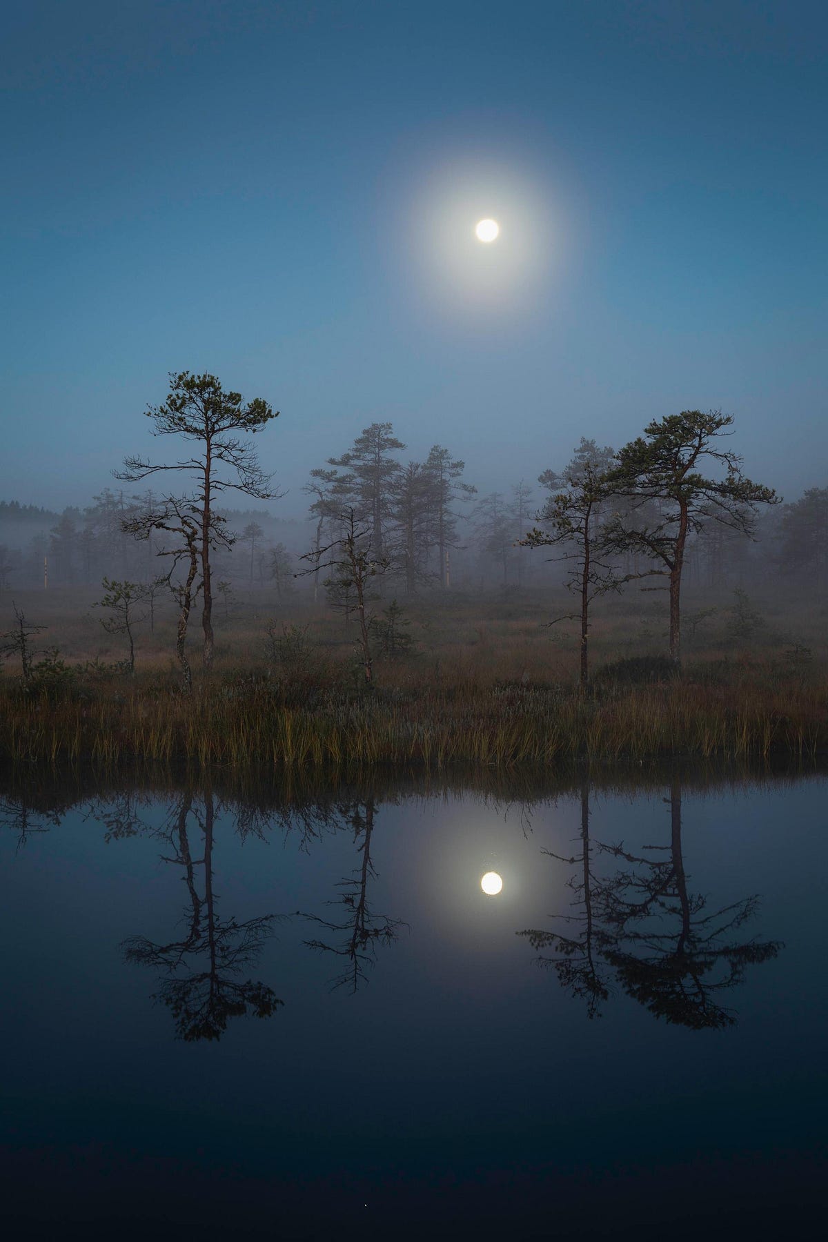 Just a Ghost Story?. Challenge #305 — Tempt | by Mike Range | Fiction ...