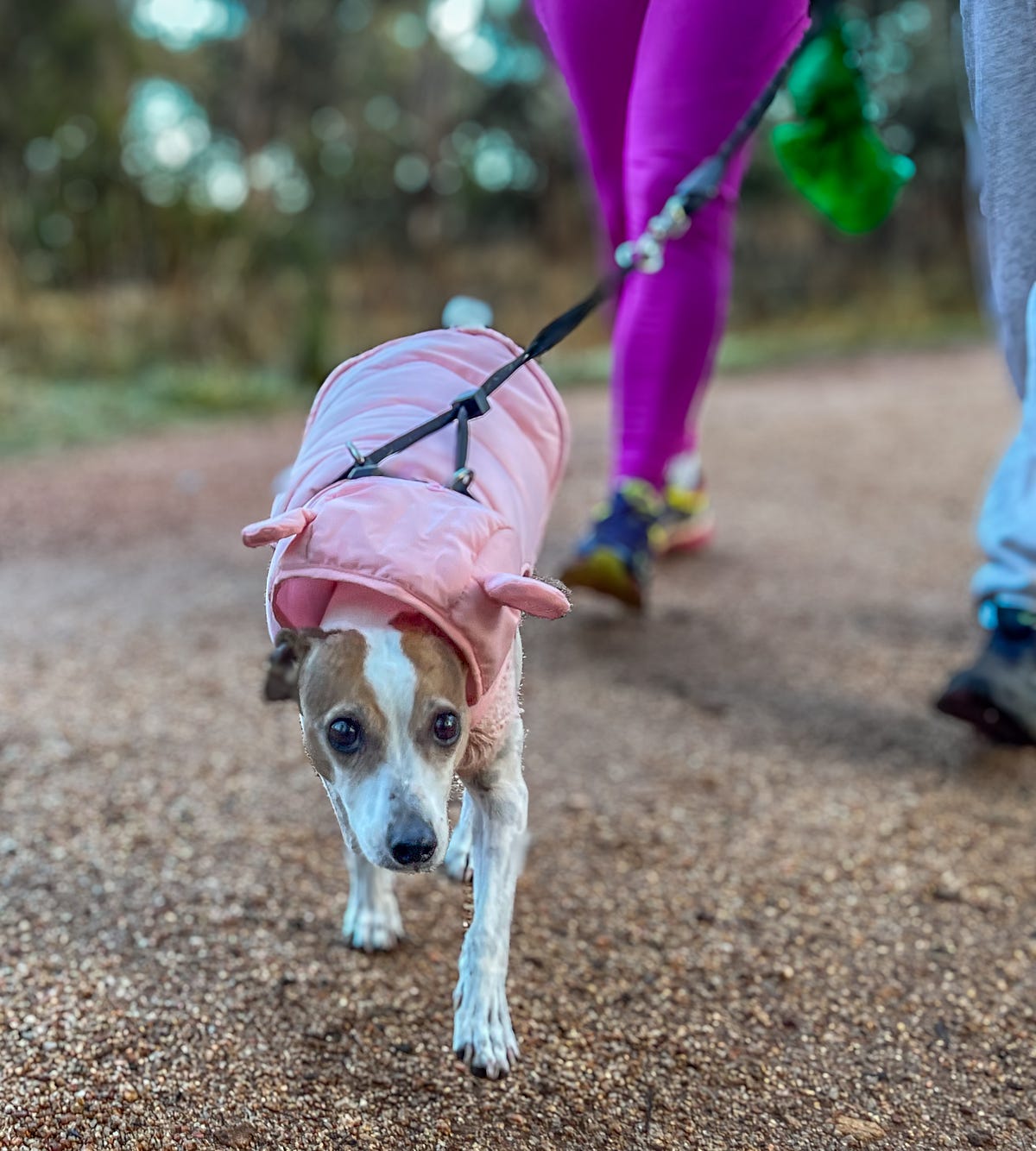 Slow AF Running Club. Mount Ainslie #270 8 June 2024 | by Skyring ...