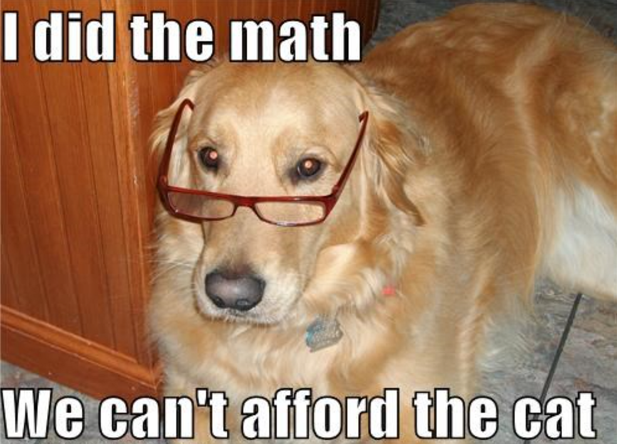 R-squared explained, intuitively. R-squared is one of the terms you ...