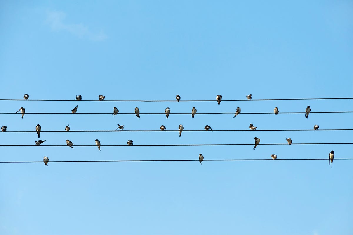 The Battle Of Message Queues Apache Kafka Vs Apache Pulsar By Kunal Kumar Gupta Medium