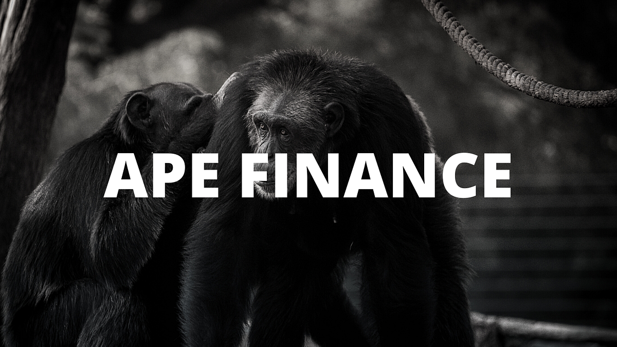 APE Finance… Leading A New Generation | by APE Finance | APE Finance ...