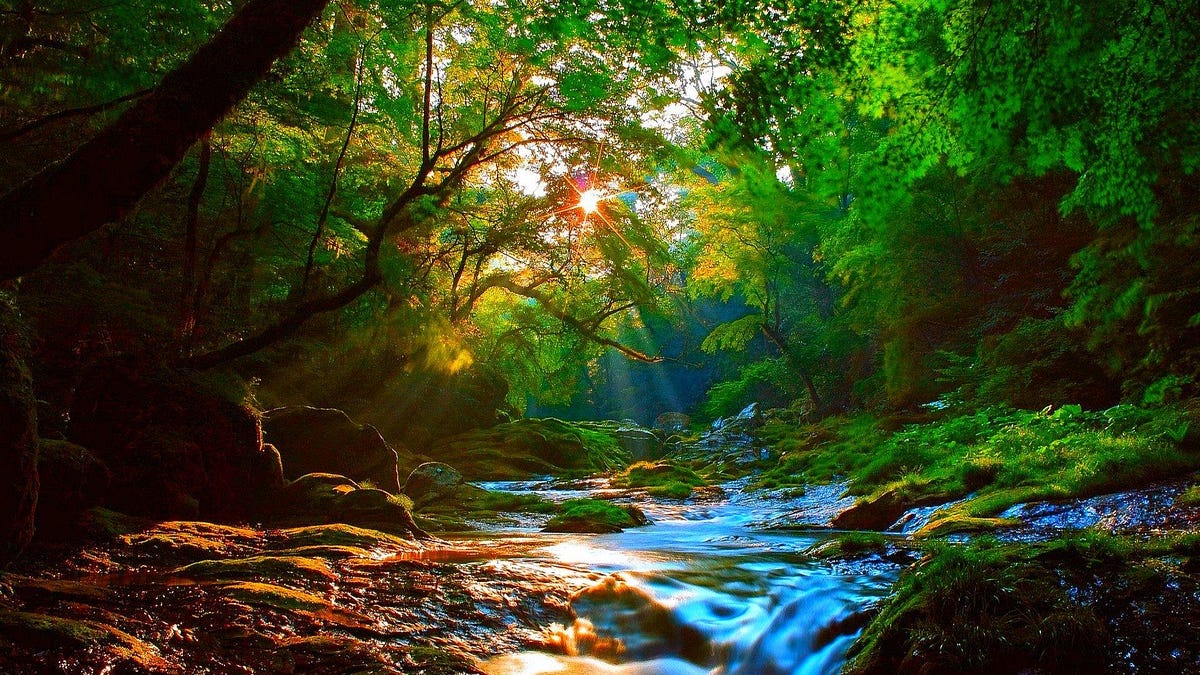The Soul is a Stream. The soul is a stream… | by Growing down | Jun ...