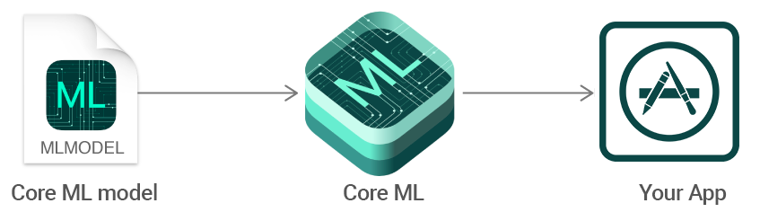Core ML Framework in iOS Apps. August 27, 2018in Mobile development… | by Nirmala Vadivel ...