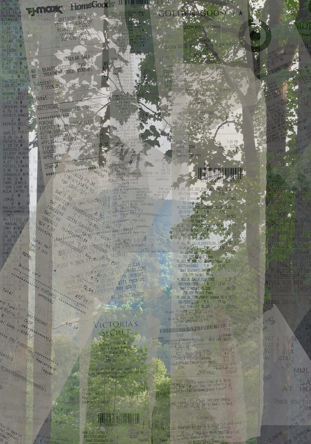 Project 1 Rough Draft. I am diving into my own personal desire… | by Adriana Gonzalez | Medium