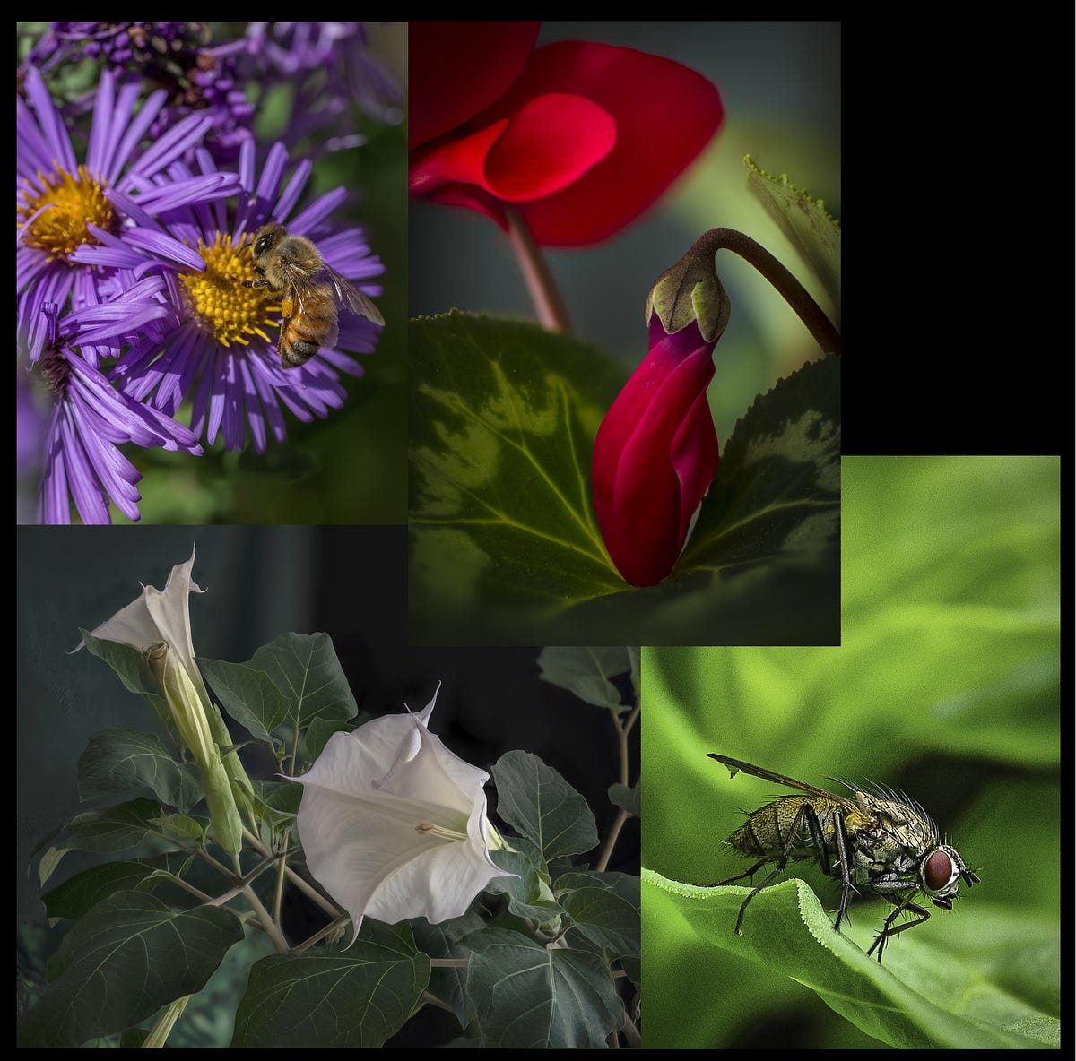 Thank You!. By Michael Erlewine | by Michael Erlewine -- Archivist ...