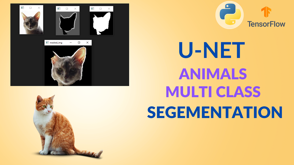 Creating an Animal Segmentation Model with U-Net and TensorFlow Keras | by Eran Feit | Medium