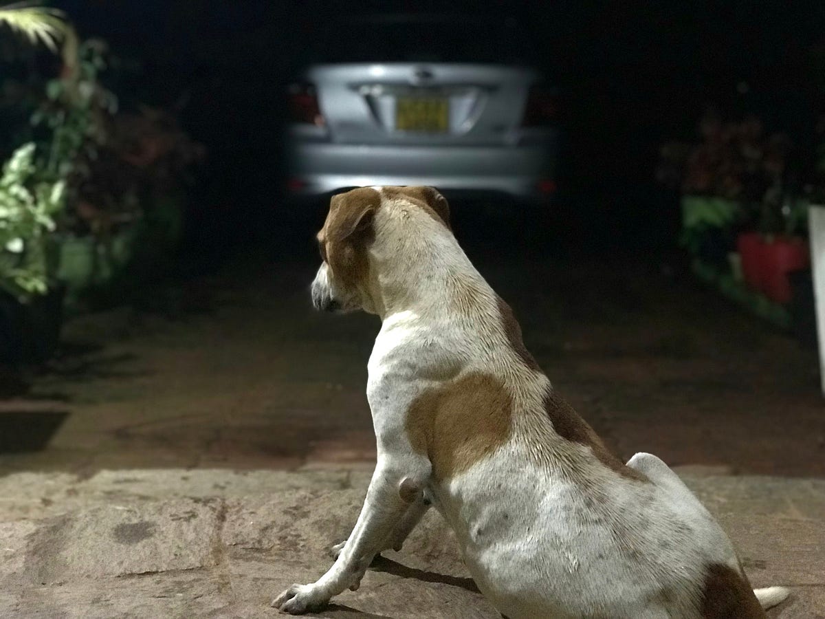 Untold!. (Based on true story) | by Arjun Selva | Medium
