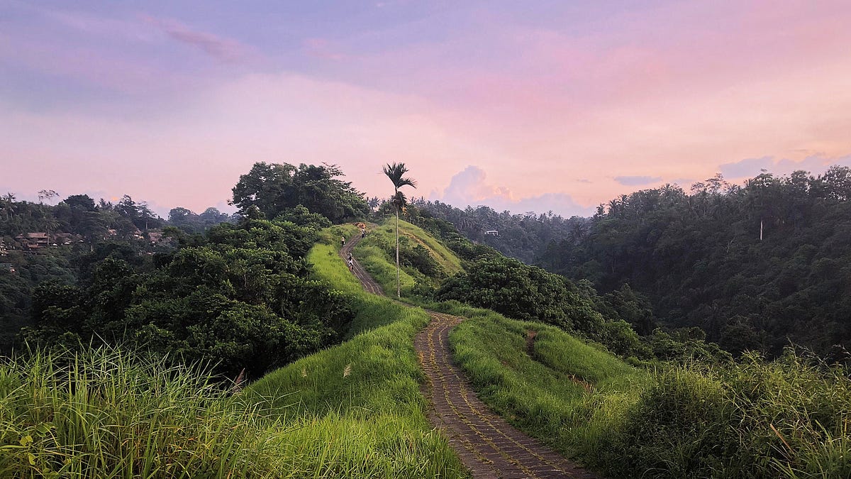 Ubud and Around: What to Do in 3 Days | by A Future Away | Medium