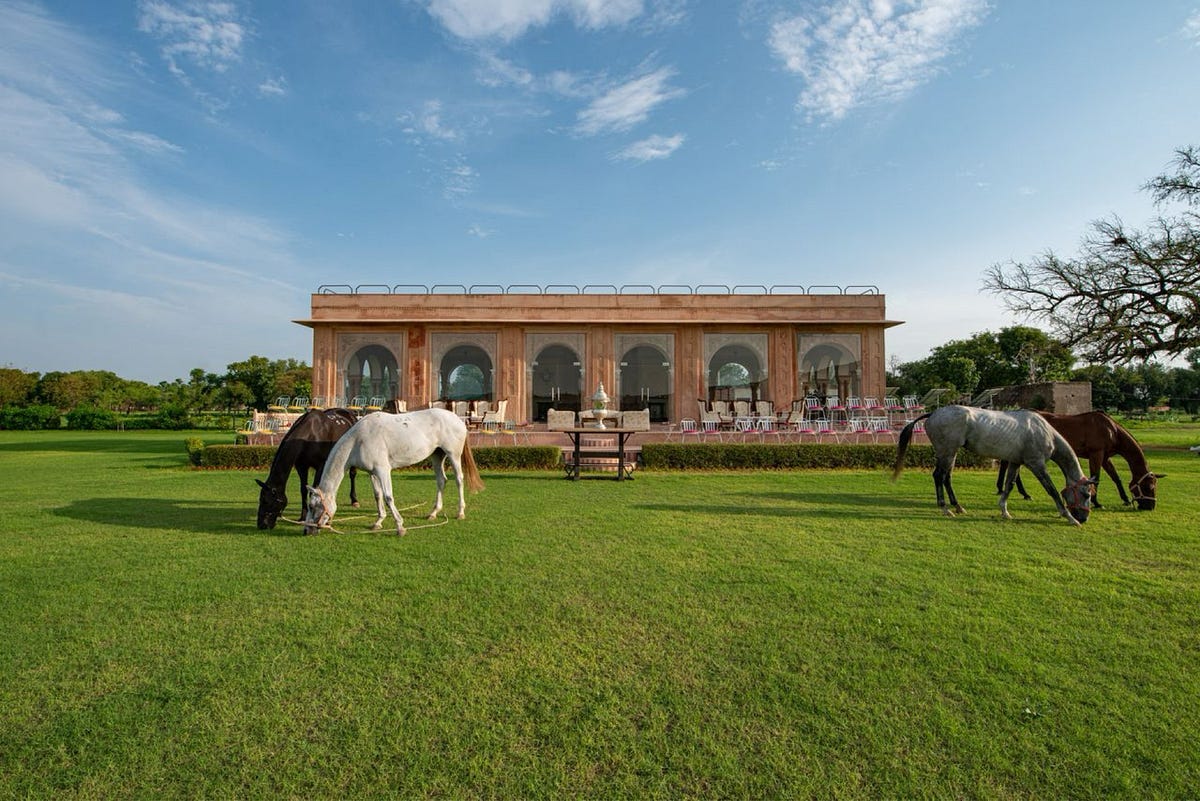 The Royals on Netflix: A Branding Blueprint Wearing a Crown | by Charu ...