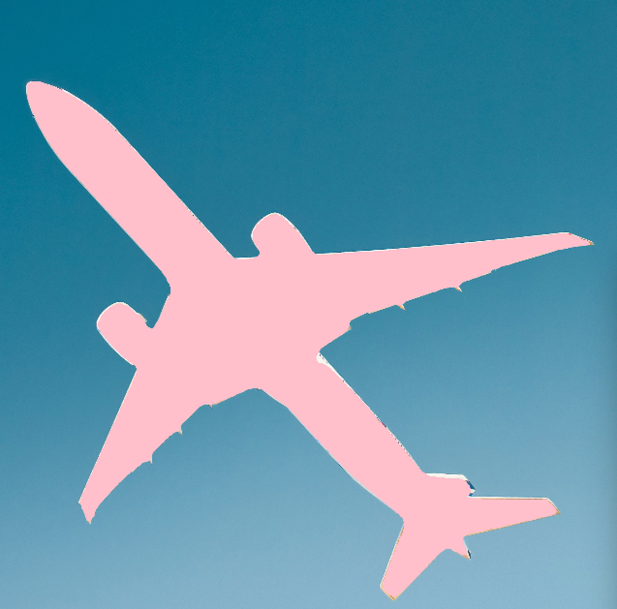 YOLOv11 Instance Segmentation with OpenCV and Java (Part 3) | by Tsvetan Tsvetkov | ITNEXT