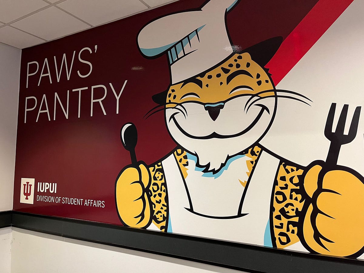 A New Perspective. Paw’s Pantry — The best summer job… | by Shanmukhi ...