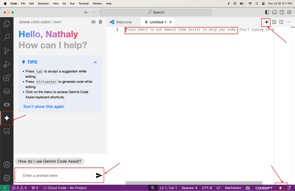 Gemini: Tu nuevo copiloto en Visual Studio Code - Nathaly Alarcon ...
