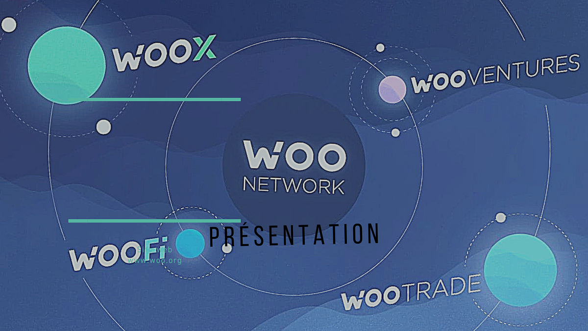 What is WOO Network ?. WOO Network is a system that brings… | by ...