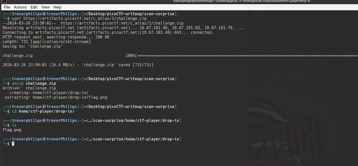PicoCTF 2024 — Scan Surprise - Shreethaar - Medium