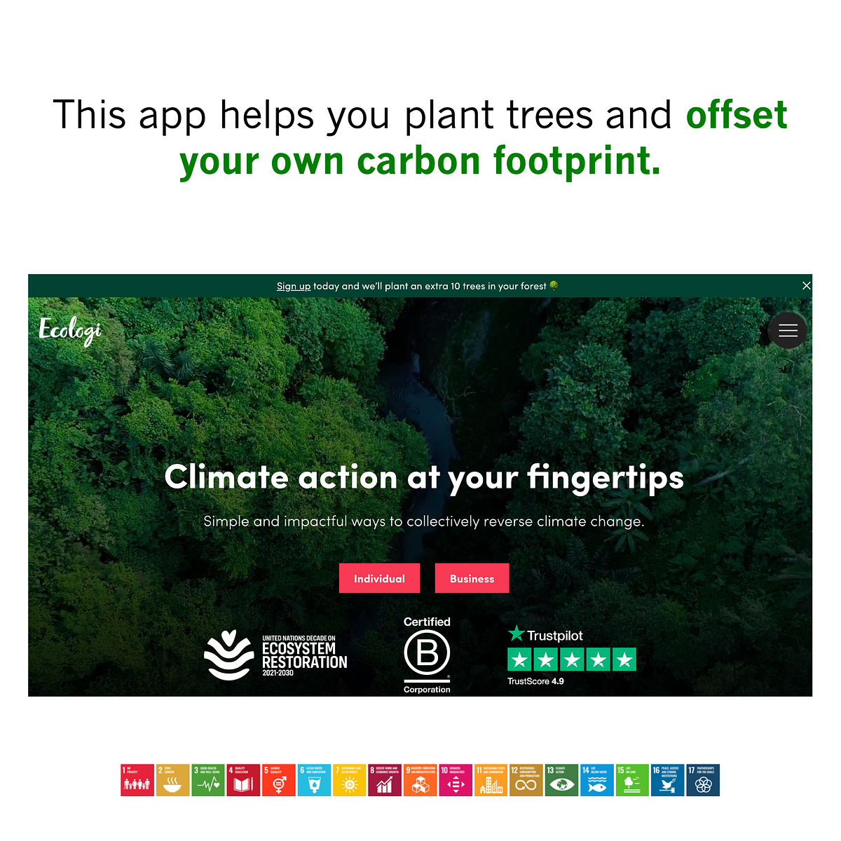 Ecologi app • Plant trees to offset your carbon footprint | by Keys For ...