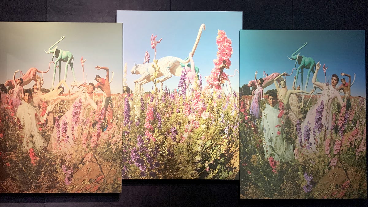 Tim Walker: Wonderful Things. Let’s go through this world together ...
