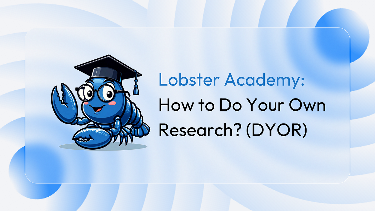 🔍 How to Do Your Own Research? (DYOR) | by Lobster 🦞 | Apr, 2024 | Medium