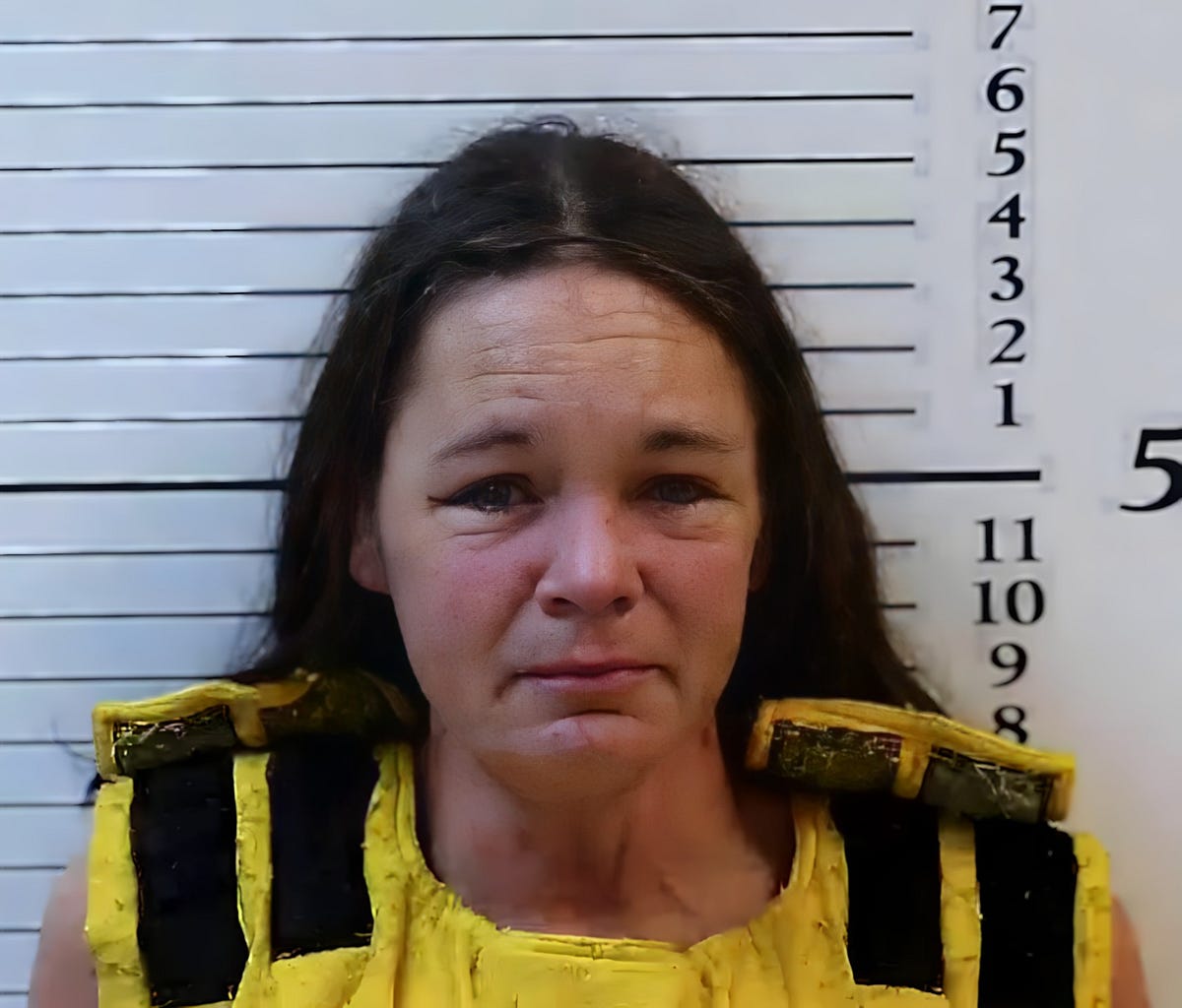 A North Carolina Mother Accused of the Unthinkable: The Tragic Case of ...