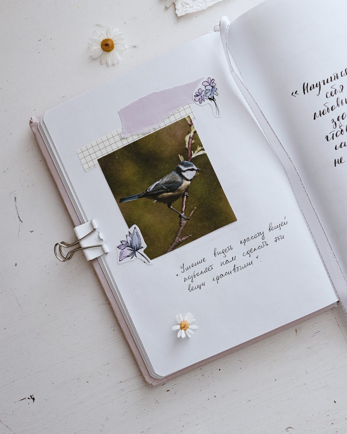 Journal. Dear diary, | by Oorjita Sharma | Jul, 2023 | Medium