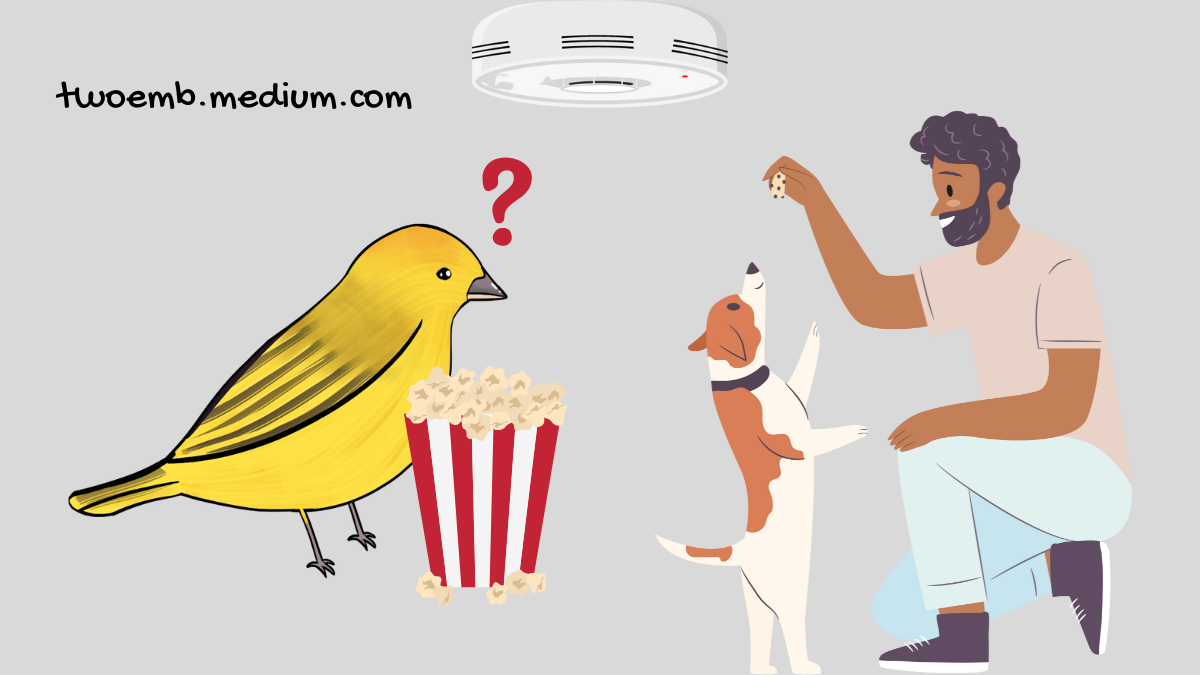 Don’t Ignore That ‘False’ Alarm, by Jillian Enright | neurodiversified