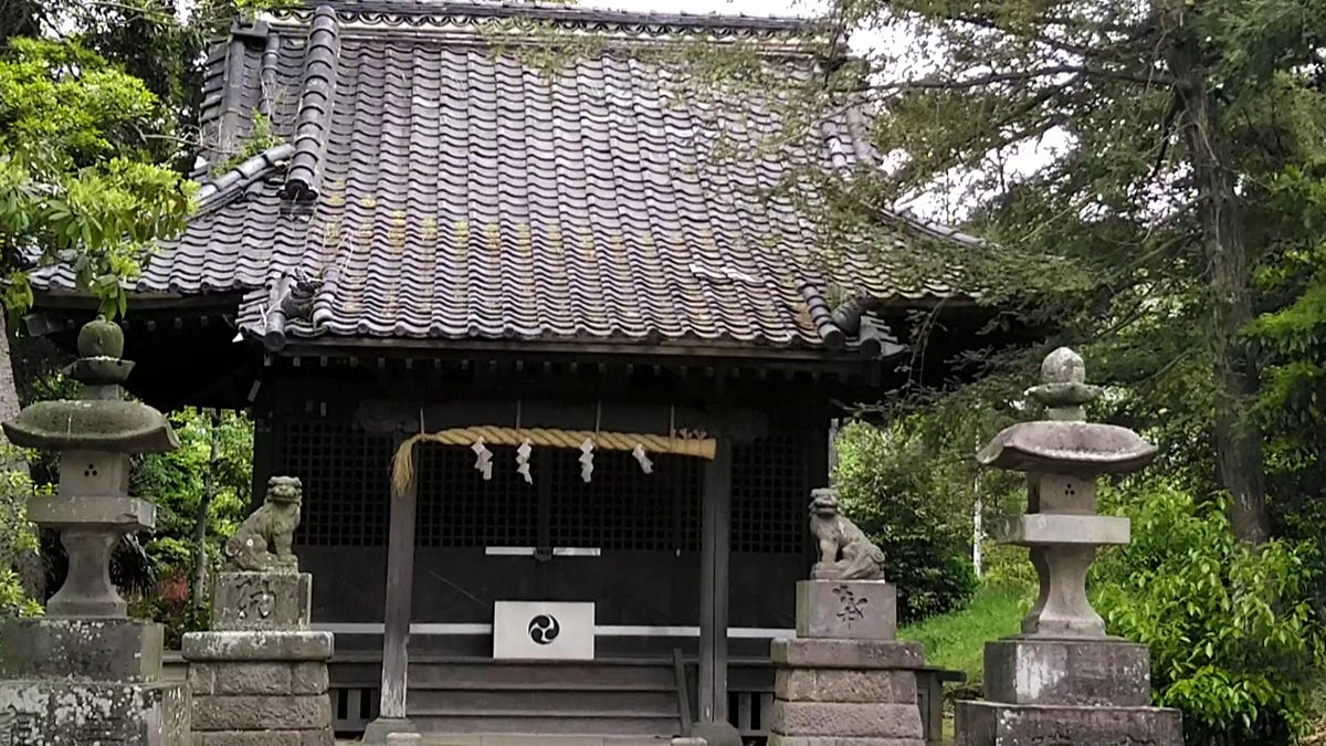 A trip to Japan that no one knows about. What to see in an old tabunoki ...